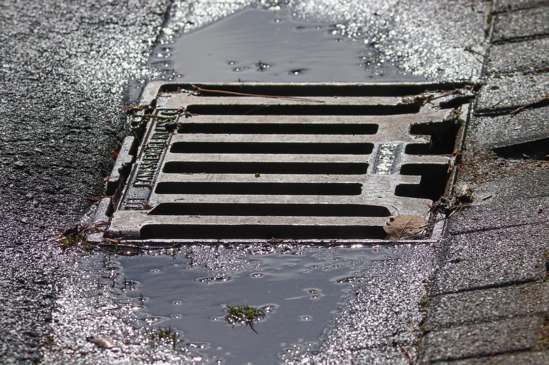 5 Ways to Get Rid of Standing Water in Your Backyard • Home Tipsor