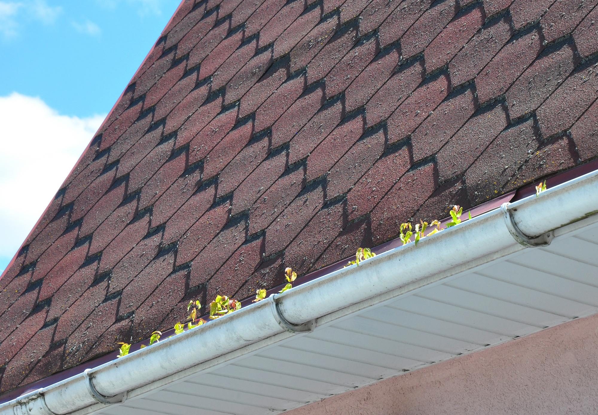 The Different Gutter Styles and Which One Is Right for Your Home • Home ...